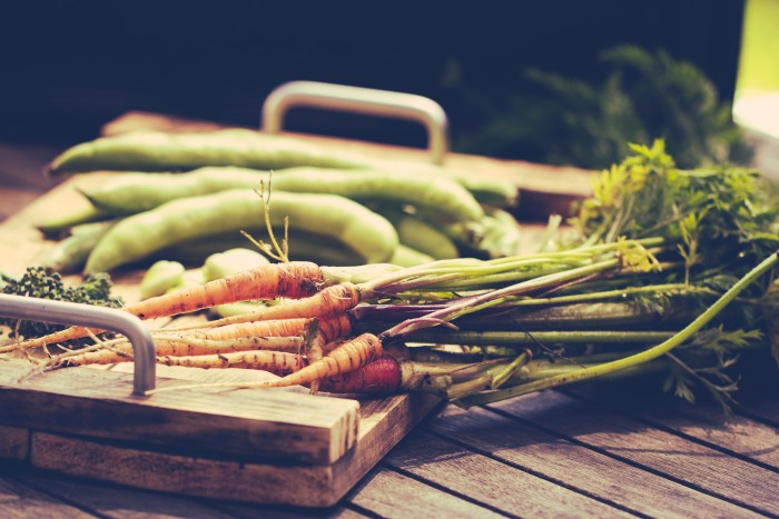 Growing Food Growing Community | Chuffed | Non-profit charity and ...